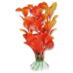 Rastlina do akvária 1B01, 10cm - Rastliny B Series - Aquagarden ...